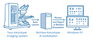 BioView – Karyotype AI